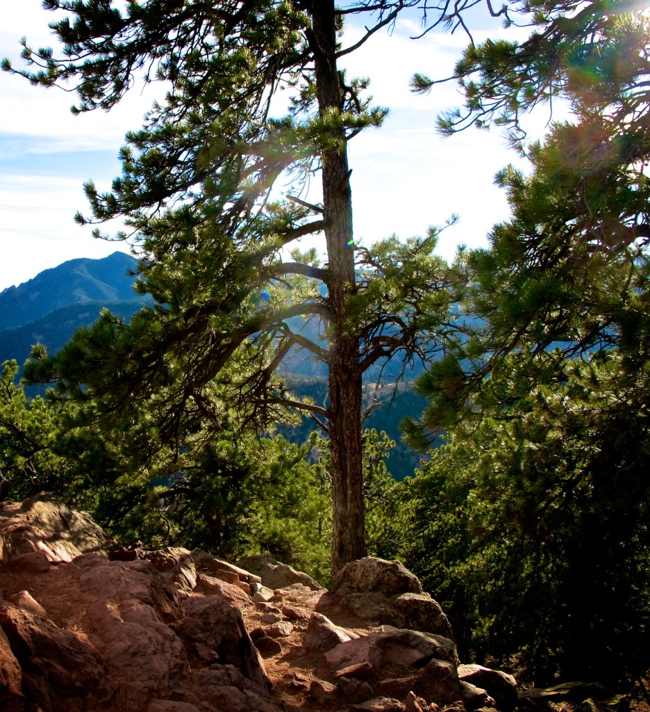 Hiking Mt. Sanitas | Kat's Tracks